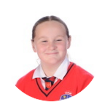 Aragon Primary School - House Teams